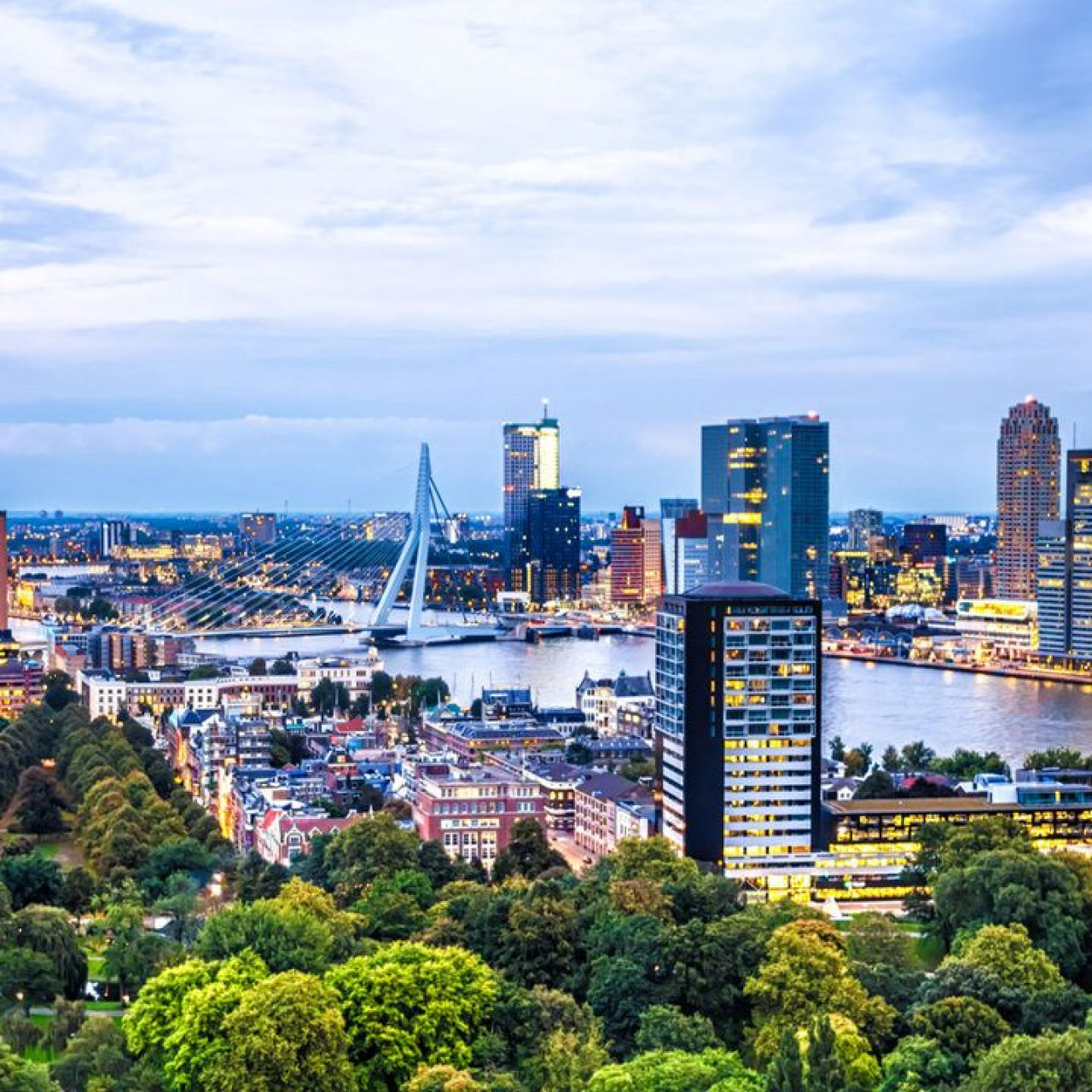 Tauw - Live met nieuw social intranet in SharePoint • Wortell